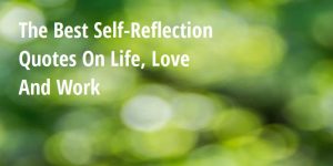 The Best Self-Reflection Quotes On Life, Love And Work - Big Hive Mind