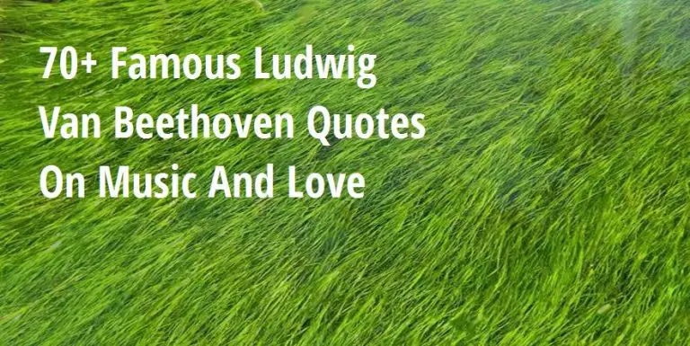 70+ Famous Ludwig Van Beethoven Quotes On Music And Love - Big Hive Mind