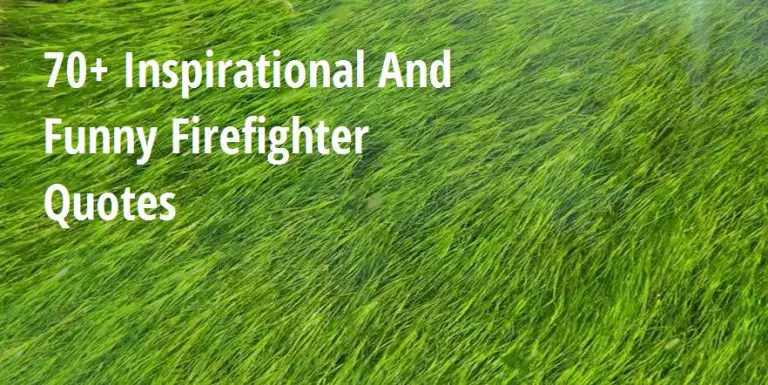 70+ Inspirational And Funny Firefighter Quotes - Big Hive Mind