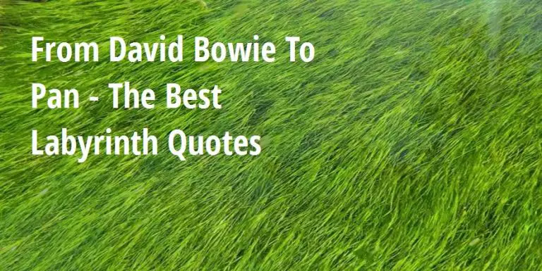 From David Bowie To Pan - The Best Labyrinth Quotes - Big Hive Mind