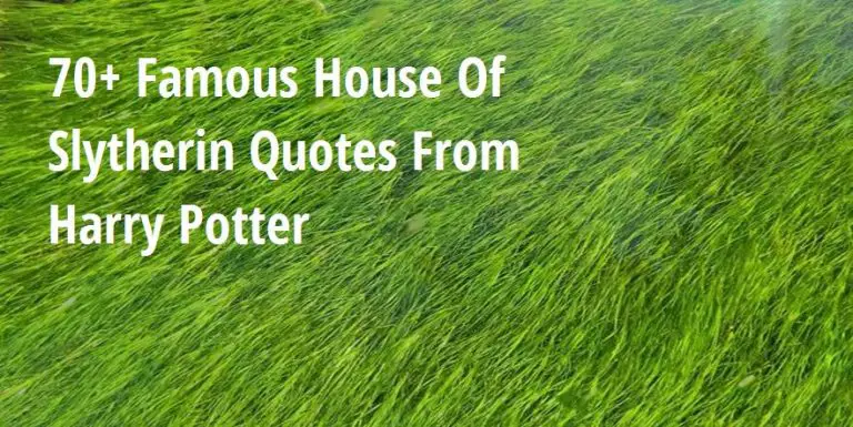 The Best Famous House Of Slytherin Quotes From Harry Potter - Big Hive Mind