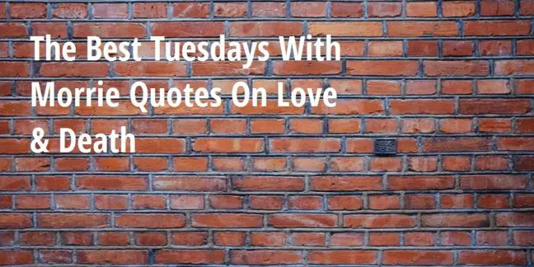 The Best Tuesdays With Morrie Quotes On Love & Death - Big Hive Mind