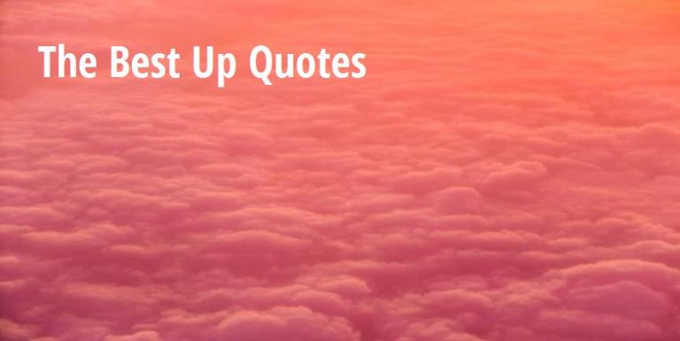 The Best Up Quotes - Big Hive Mind